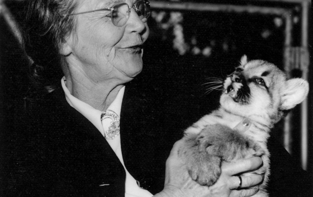 Belle Benchley with a mountain lion cub | San Diego Zoo 100