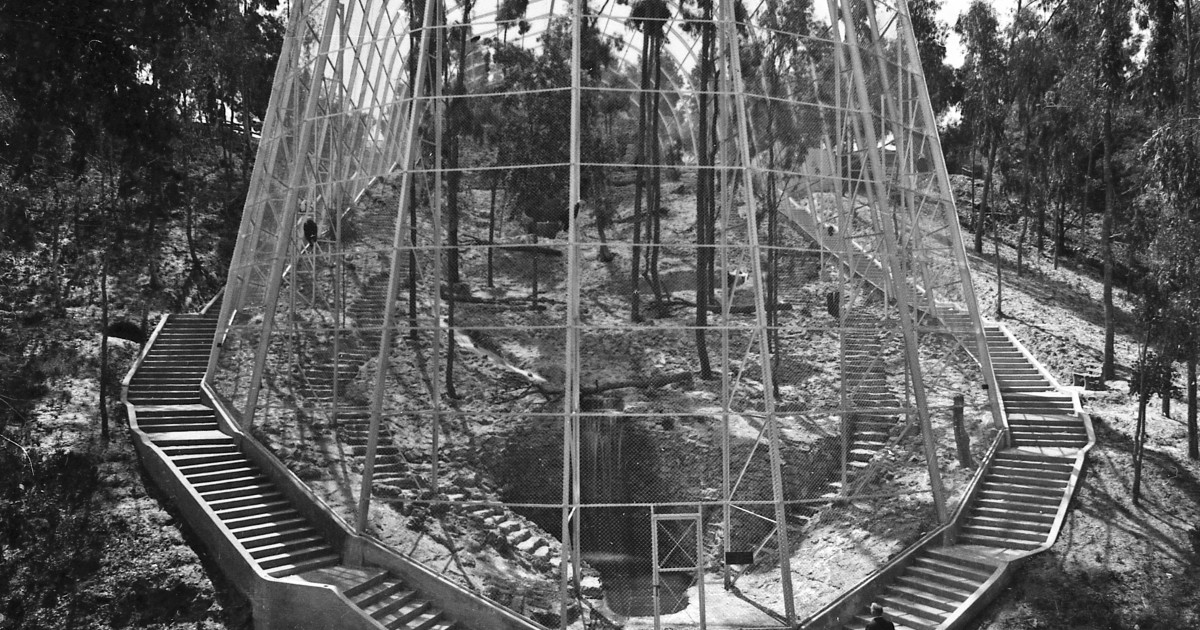 Birds of Prey Aviary | San Diego Zoo 100