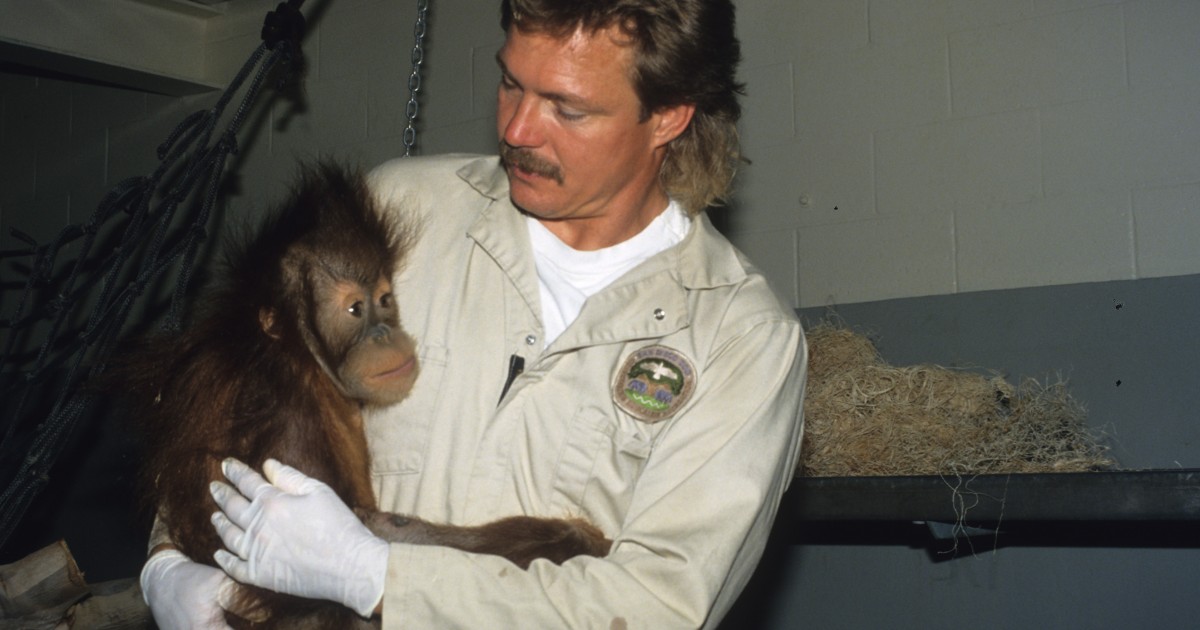 Karen orangutan and keeper Mike Bates | San Diego Zoo 100