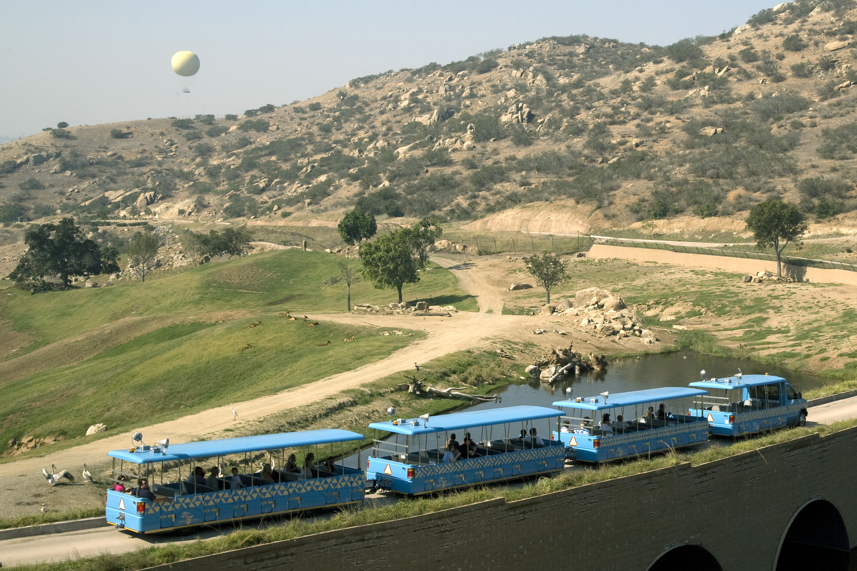 Africa Tram Safari Now Boarding | San Diego Zoo 100