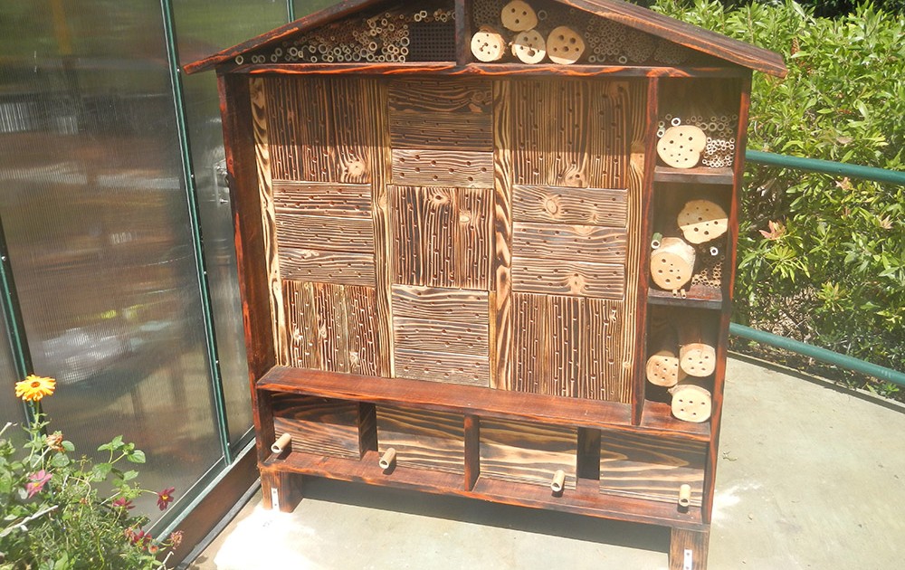 Bee House | San Diego Zoo 100