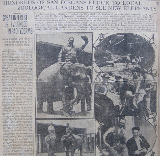 Newspaper article about the elephants’ arrival, 1923 | San Diego Zoo 100