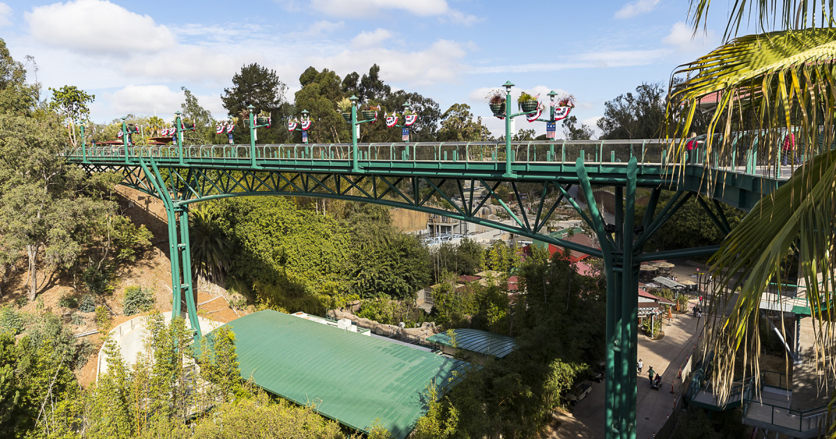 2017 Bashor bridge 2 | San Diego Zoo 100